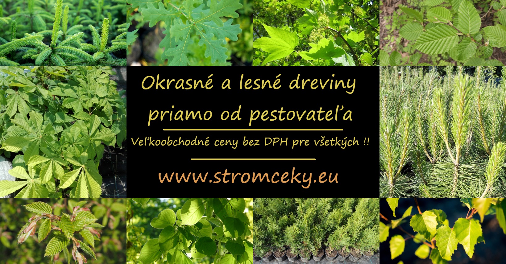 Kontakt - Okrasné a lesné dreviny priamo od pestovateľa.